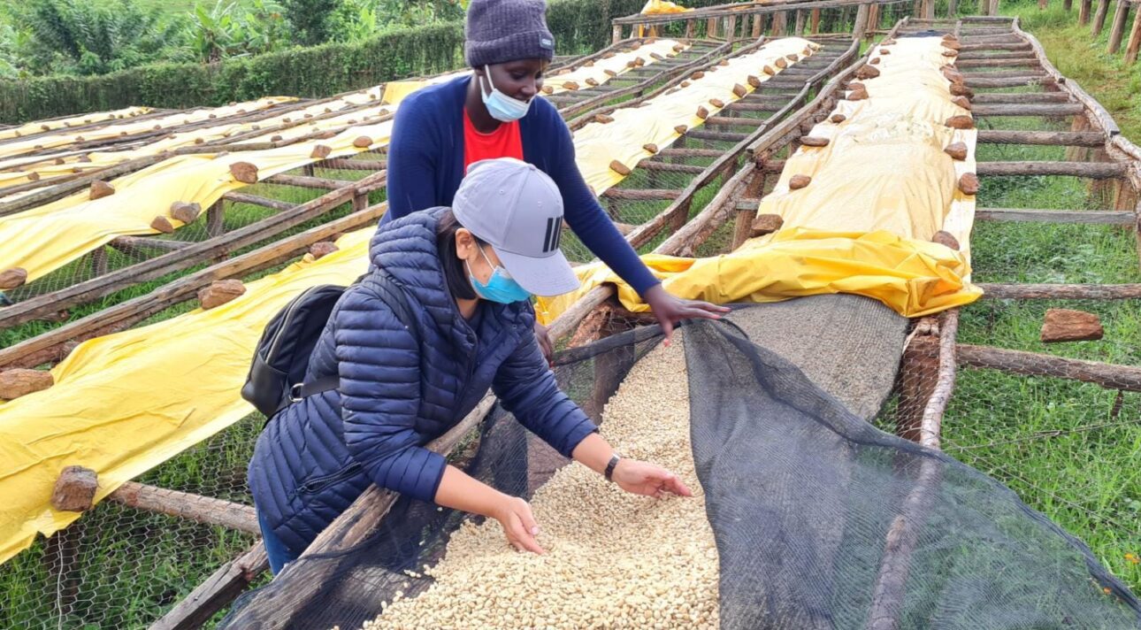 Murakoze Coffee
